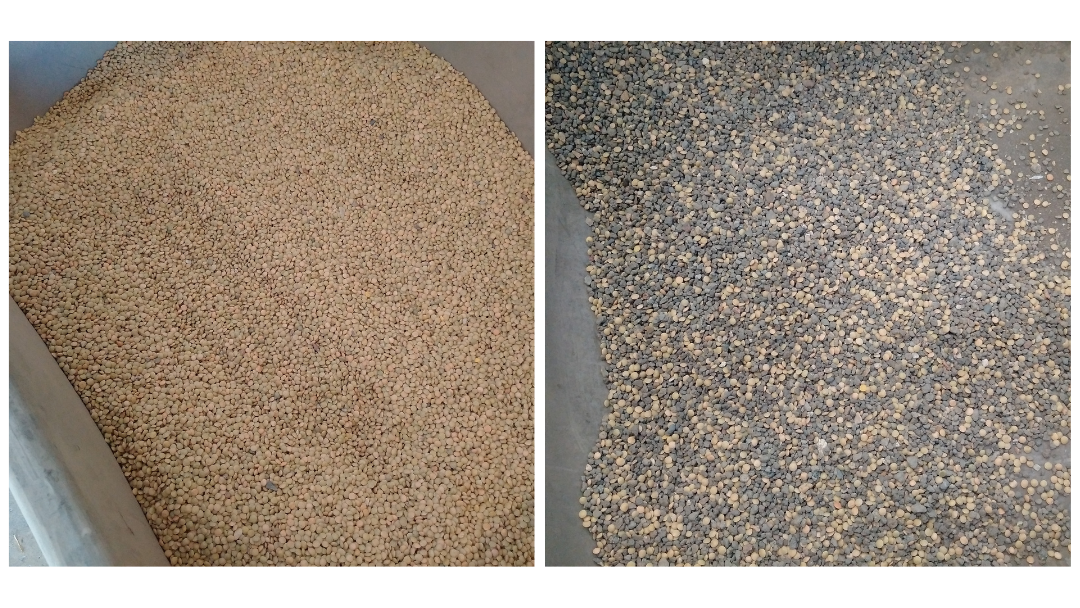 Magnetic Separator - Premier Grain Cleaner